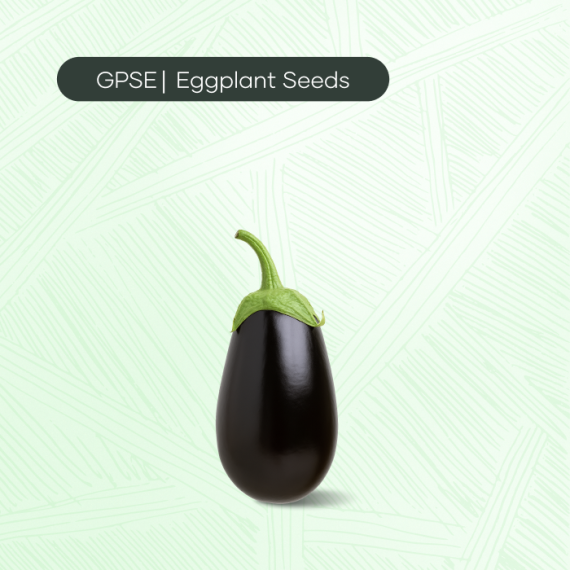 Bulk & Wholesale Seeds Canada – Best Prices | GPSeeds
